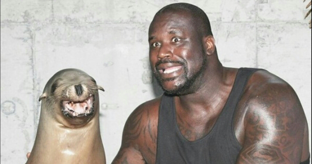 10 Weird Facts About Shaquille O'Neal You Didn't Know